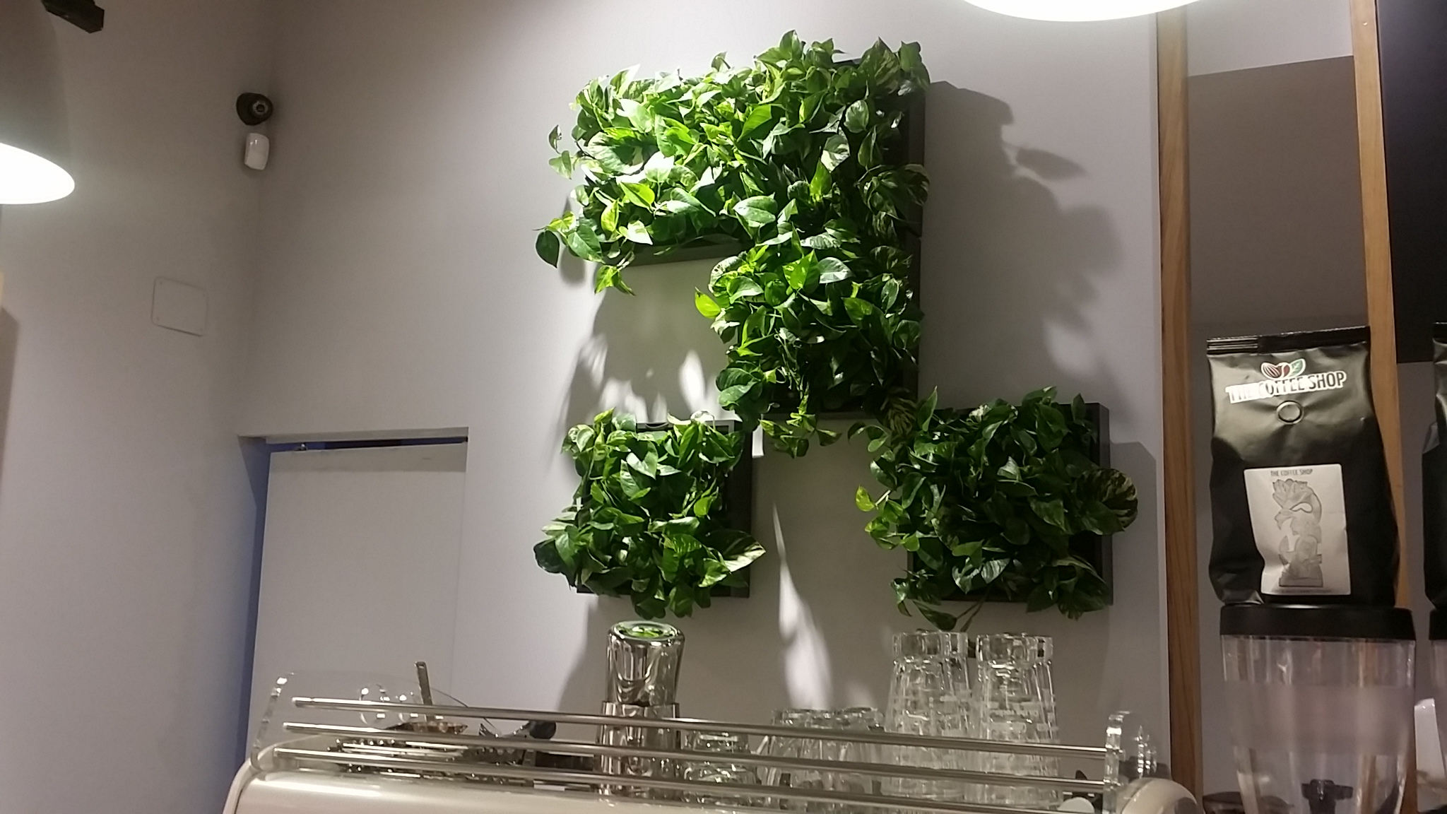 Gradini verticale la birou - Verde la Birou